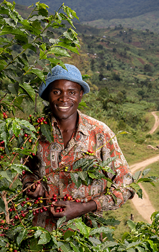 Dal programma Reviving Origins di Nespresso nasce “KAHAWA ya CONGO ...