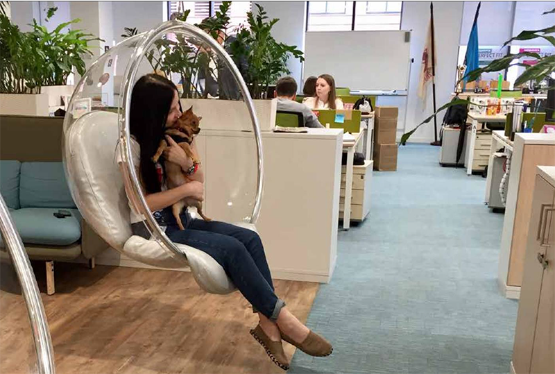 Mars, Royal Canin e AniCura inaugurano la nuova sede del Gruppo a Milano